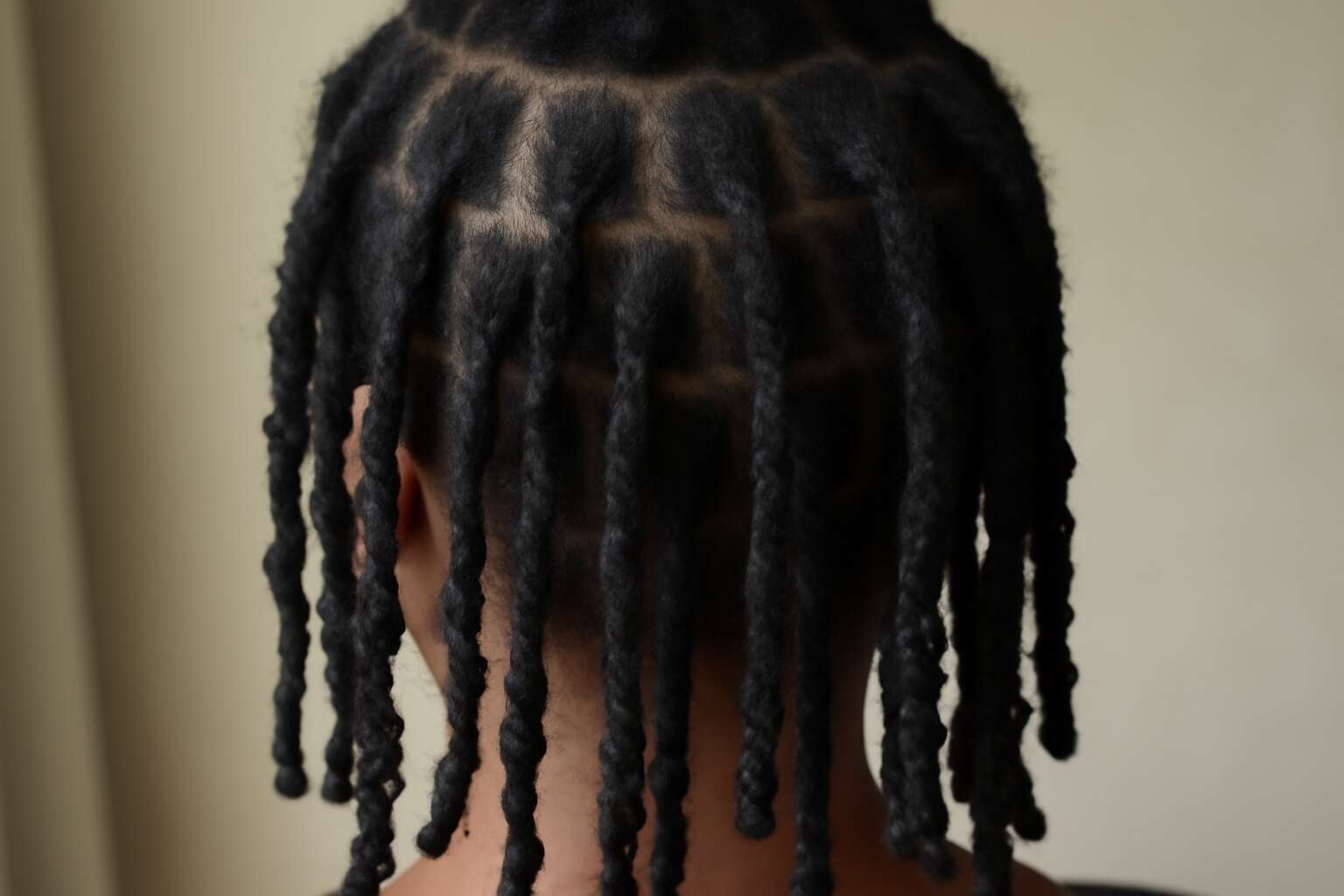 How Long Do Dreadlocks Take to Lock? A Complete Guide to Expectation ...